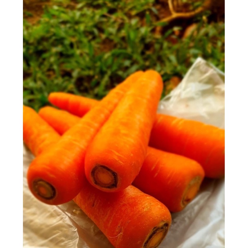 Jual Wortel import 500gr | Shopee Indonesia