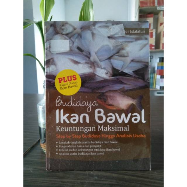 Jual Budidaya Ikan Bawal Keuntungan Maksimal - Nor Islafatun | Shopee ...