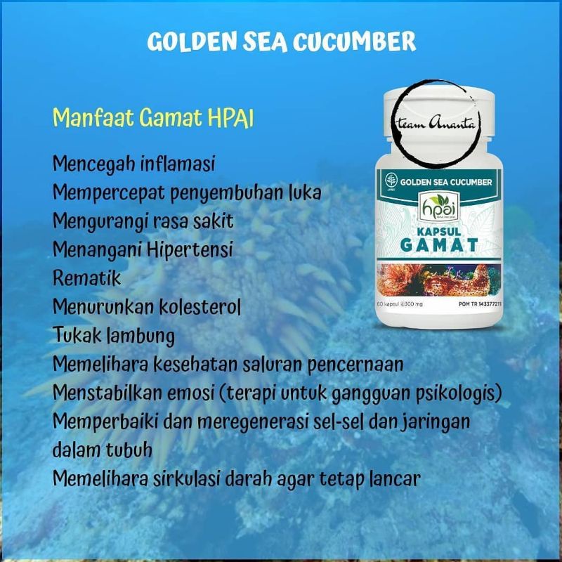 Jual GAMAT KAPSUL HPAI | Shopee Indonesia