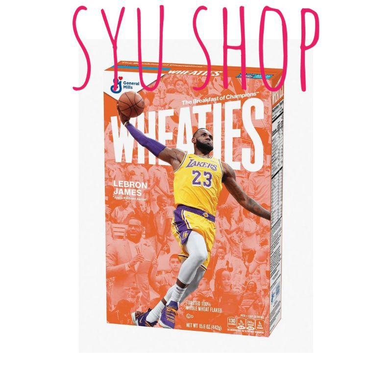 Jual Wheaties cereal general mills 442 gr | Shopee Indonesia