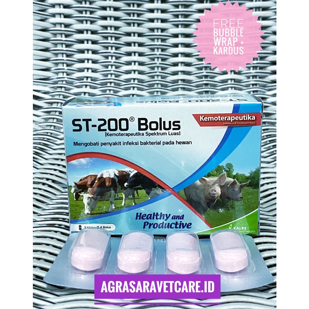Jual ST-200 BOLUS 1 BOX (isi 12 bolus) - MIRIP COLIBACT BOLUS | Shopee ...