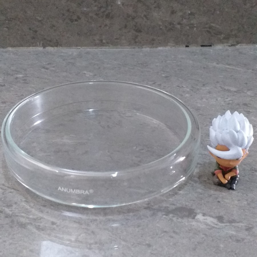 Jual PETRIDISH PETRI PETRIDIS CAWAN PETRI 100 X15 MM 10CM X 15MM CAWAN ...