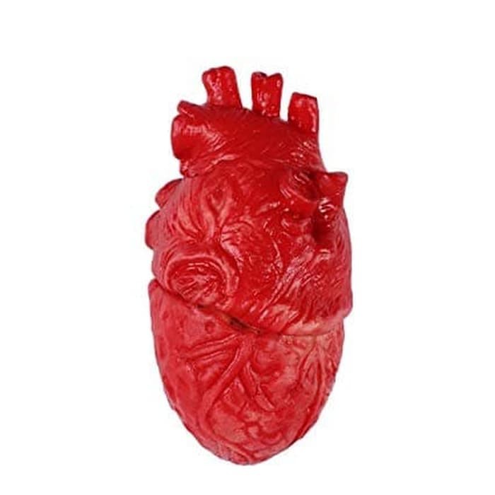 Jual FAHR fake heart jantung hati palsu halloween properti dekorasi ...