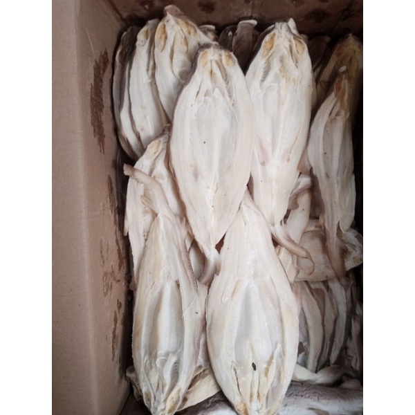 Jual Ikan Cucut Utuh Atau Ikan Asin Hiu Kemasan 1 Kg | Shopee Indonesia Jual Ikan Cucut Utuh Atau Ikan Asin Hiu Kemasan 1 Kg | Shopee Indonesia