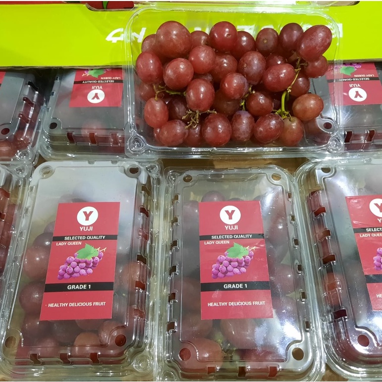 Jual ANGGUR LADY QUEEN SEEDLESS IMPORT PER PACK | Shopee Indonesia