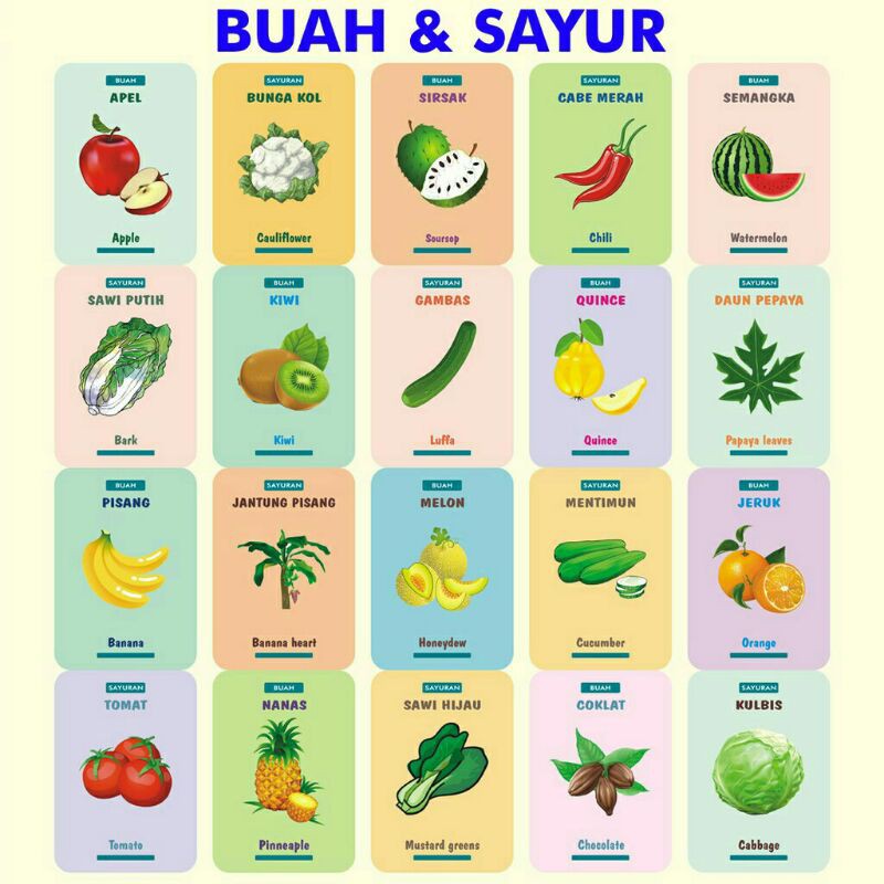 Jual buah sayur flashcard | Shopee Indonesia