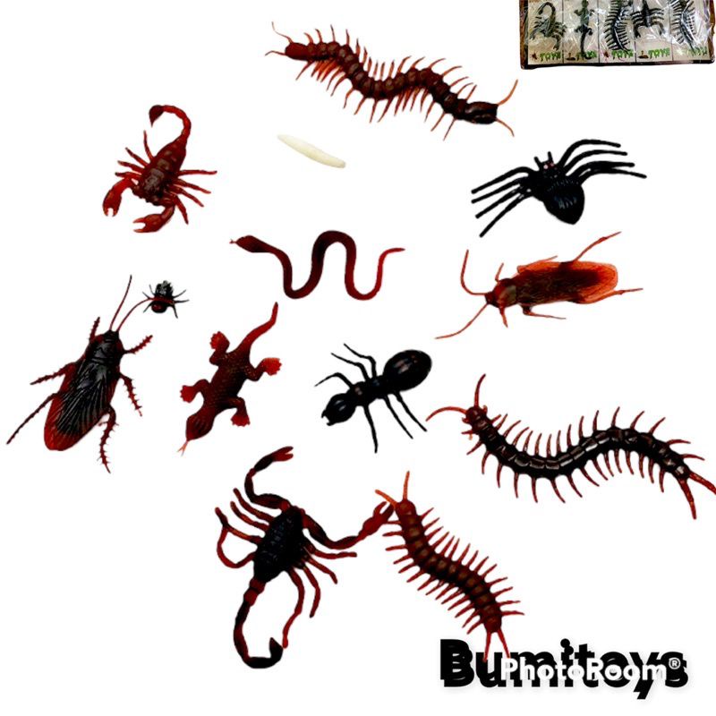 Jual mainan hewan prank karet ular cacing kecoa / scary animals toys ...