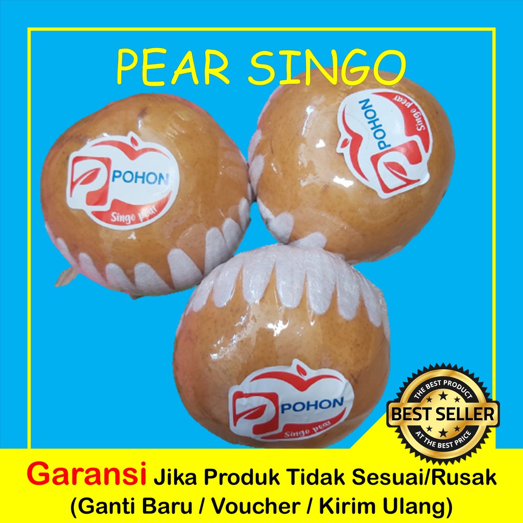 Jual BUAH PIR MANIS / BUAH PEAR SINGO MANIS PER KILO | Shopee Indonesia