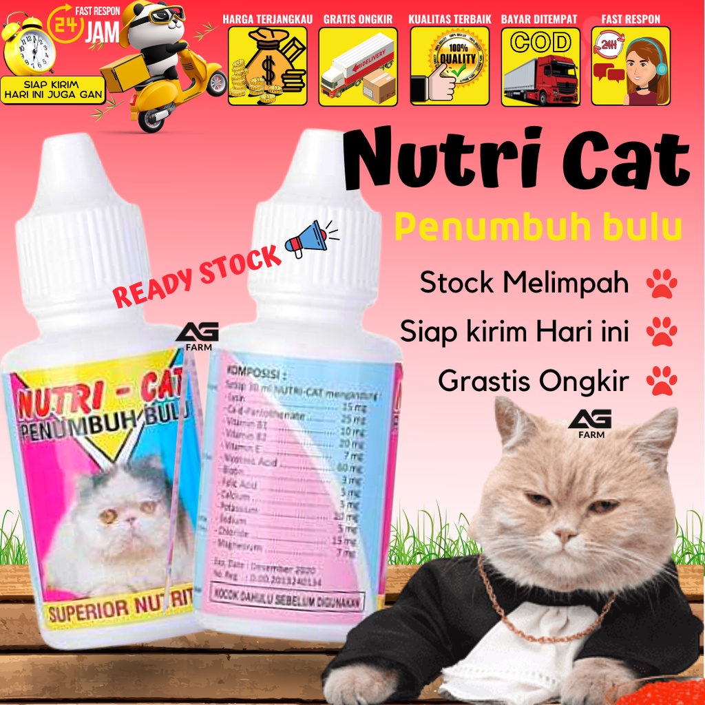 Jual Nutri Cat Drop 30ml Vitamin Penumbuh Bulu Kucing Cat Kitten 30 ml AG FARM | Shopee Indonesia