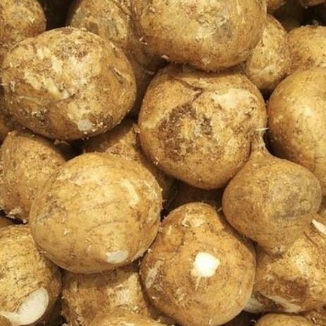 Jual Buah Bengkoang Segar Fresh / Bengkuang 1kg | Shopee Indonesia
