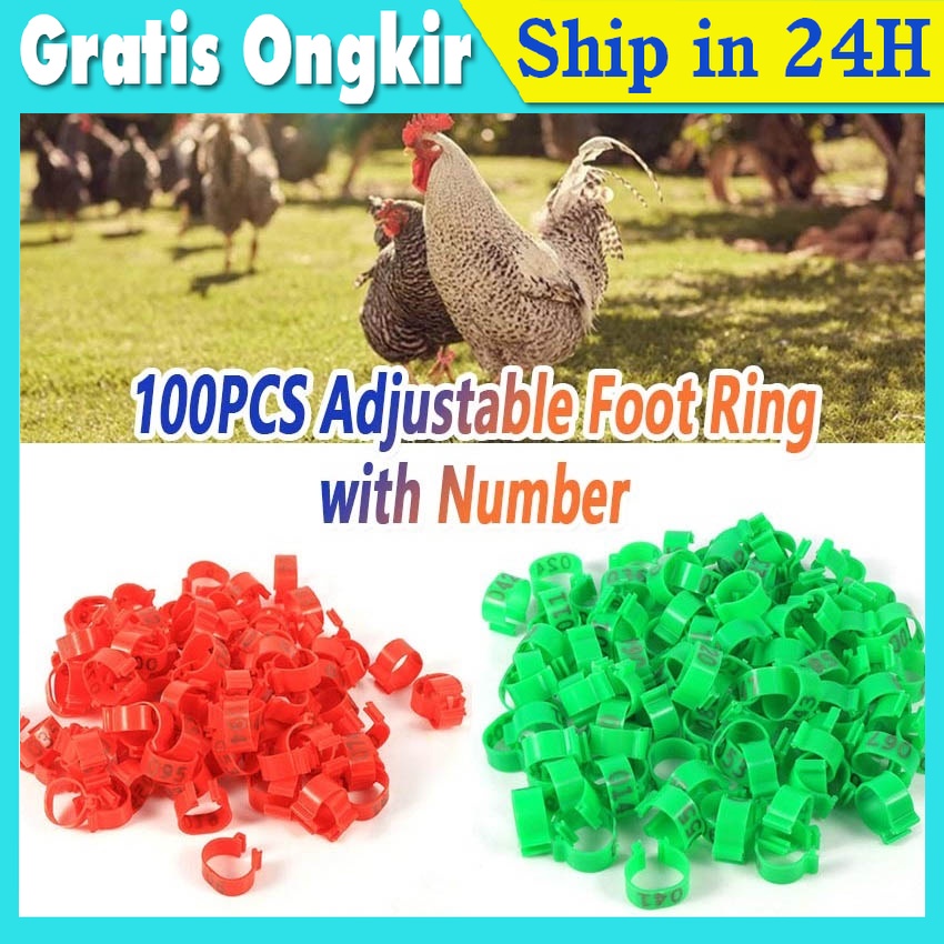Jual Nomor 001-100 Cincin Ring Gelang Kaki Ayam Bebek Klip | Shopee ...