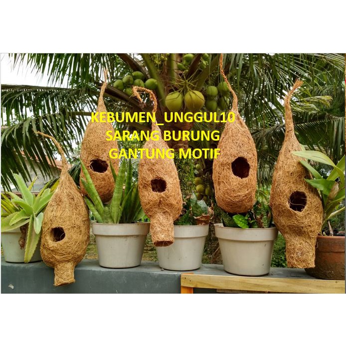 Jual GLODOK BURUNG LOVE BIRD MURAI SARANG TELUR TERNAK SUSUH MANUK ...