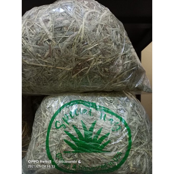 Jual Rumput Hay Timothy Special 1kg | Shopee Indonesia