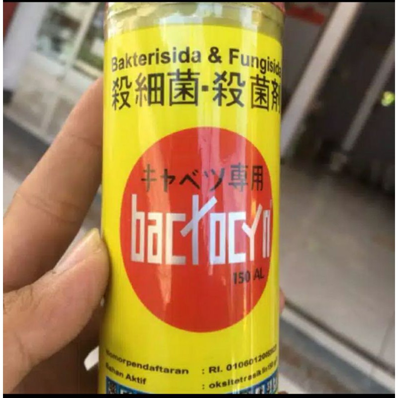 Jual Bactocin 200 ml | Shopee Indonesia