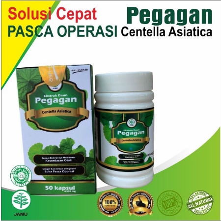 Jual Kapsul Ekstrak Daun Pegagan / Antanan Ash-Shihhah Original ...