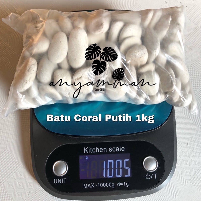 Jual Batu Coral Putih/Batu Hias Aquarium/Batu Koral Kerikil 1kg ...