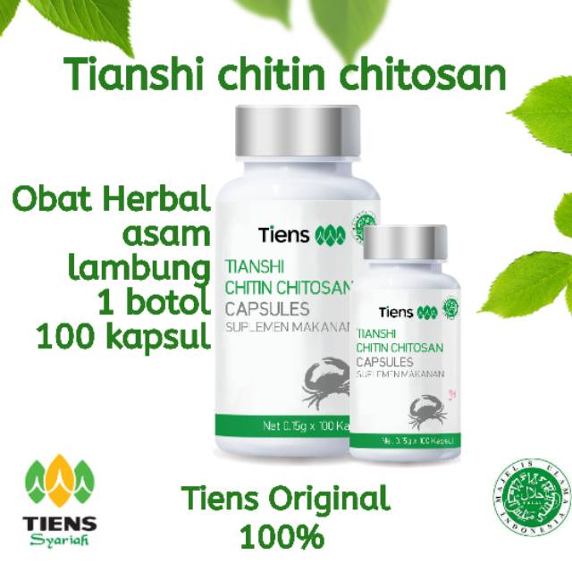 Jual Obat Asam Lambung / Chitin Chitosan / Tiens Original | Shopee ...