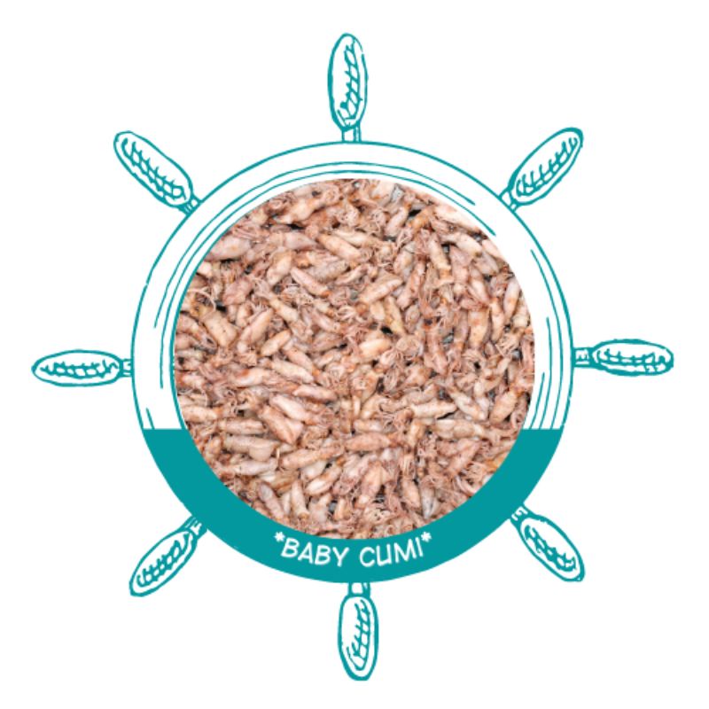 Jual Baby cumi segar | baby cumi fresh | cumi kecil | cumi sambal ...