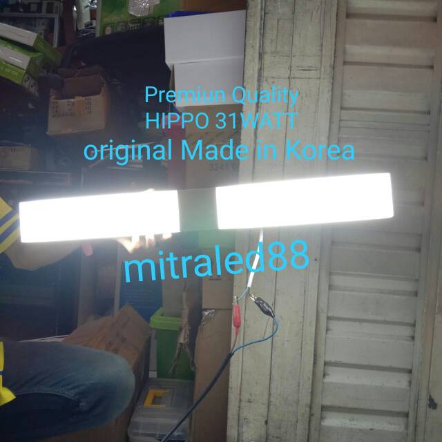 Jual Lampu neon led HIPPO 31w/31watt PREMIUM QUALITY made in korea 60cm ...