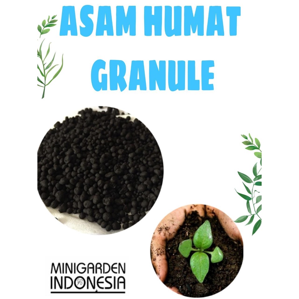 Jual ASAM HUMAT GRANULE 500 GRAM pupuk organik humic acid penyubur tanah | Shopee Indonesia