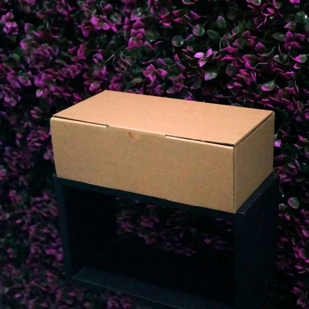 Jual Kotak Packaging Polos Tinggi 12 x 25 x 8 cm - Pizza Box - Persegi ...