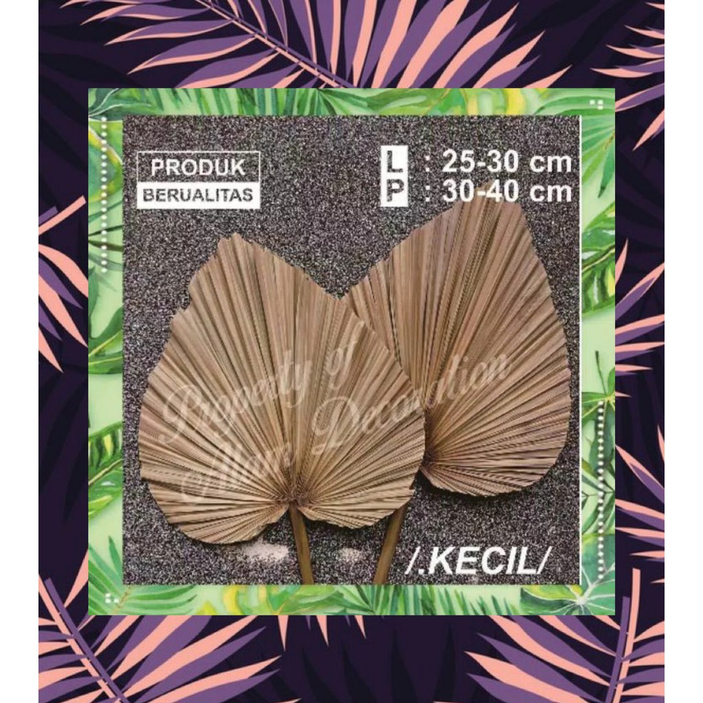 Jual DAUN PALEM KERING MURAH KECIL / DRIED PALM DEKORASI PALEM RUSTIK ...