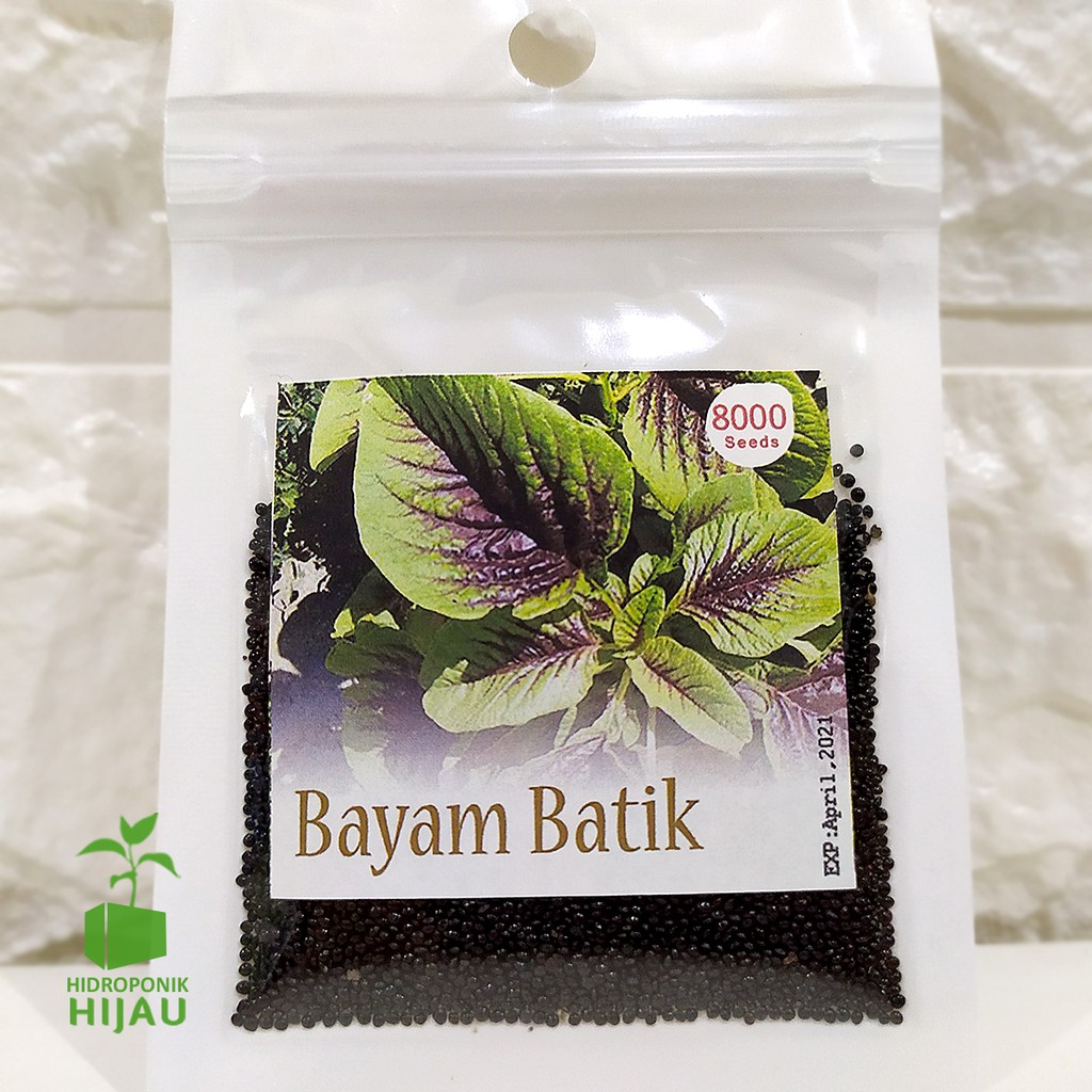 Jual Benih Bayam Batik Amarant (REPACK) | Shopee Indonesia