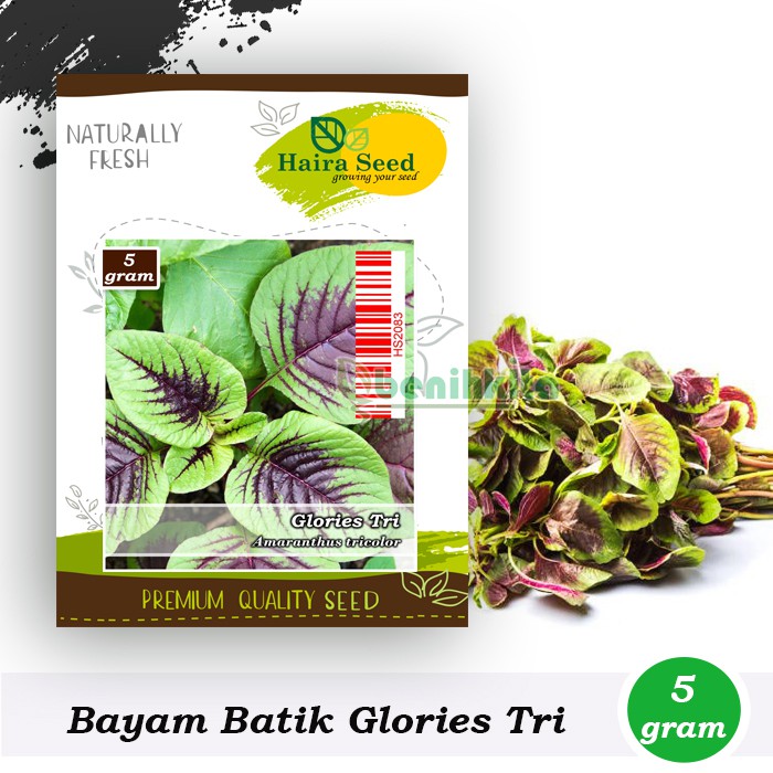 Jual Benih-Bibit Bayam Batik Glories Tri (Haira Seed) | Shopee Indonesia