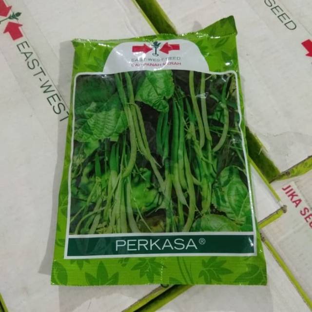 Jual Benih Buncis/Bibit Buncis PERKASA @ 500 gr | Shopee Indonesia