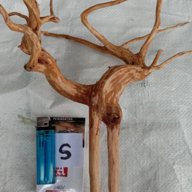 Jual Akar Rasamala size m aquascape aquarium | Shopee Indonesia