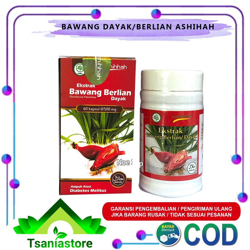Jual Herbal Diabetes Melitus Bawang berlian Bawang Dayak kapsul Ashihah ...