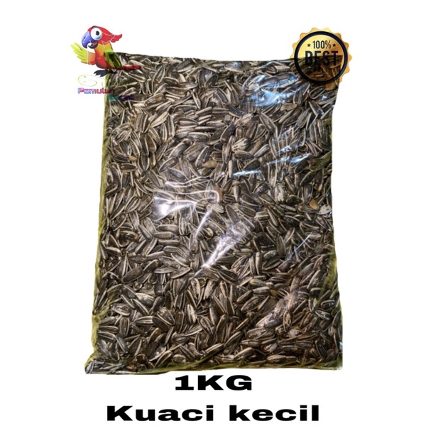 Jual PAKAN BURUNG KUACI KECIL 1KG BURUNG PARUH BENGKOK BIJI MATAHARI ...