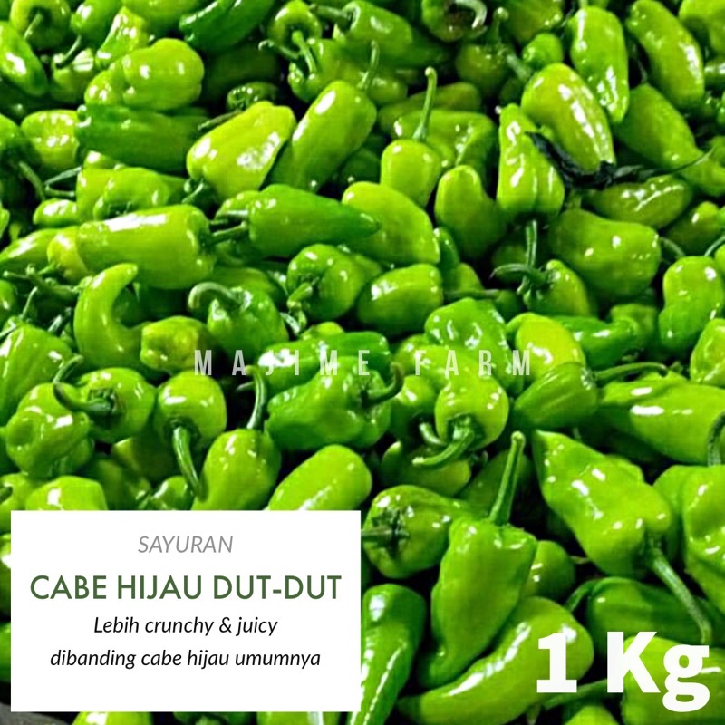 Jual MAJIME Farm - Cabe Hijau / Cabe Ijo/ Cabai Hijau Besar Gemuk Segar ...