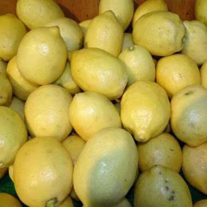 Jual Jeruk lemon lokal segar 1 kg | Shopee Indonesia