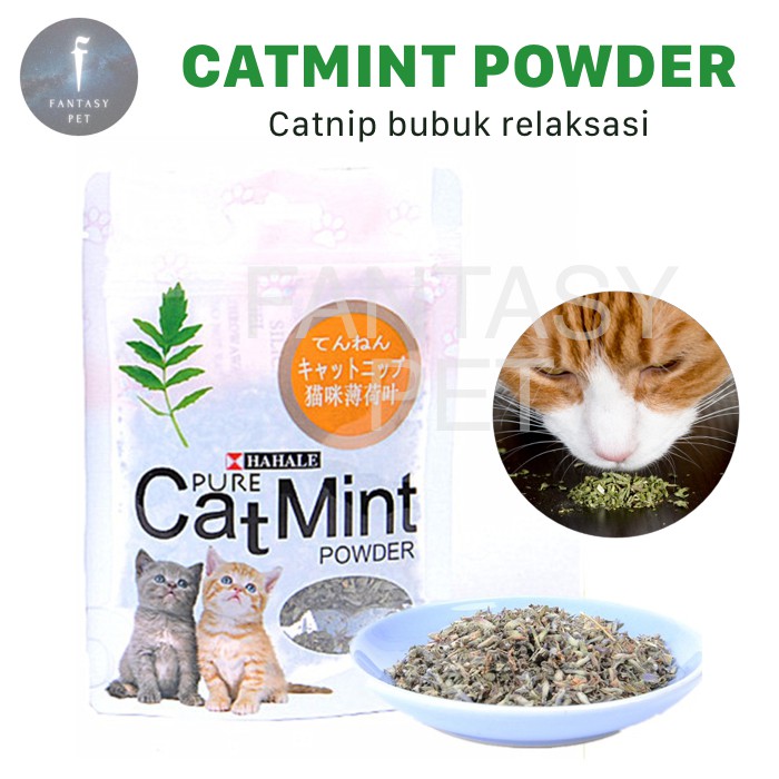 Jual CATNIP CATMINT powder bubuk relaksasi kucing natural herbal alami ...