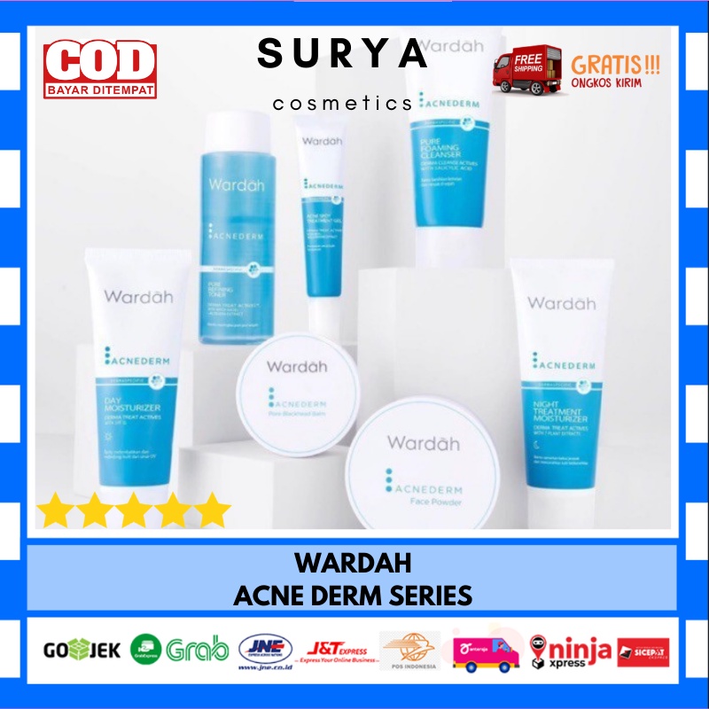 Jual Wardah Acne derm Acnederm Pure Foam Cleanser Day Moisturizer Night ...