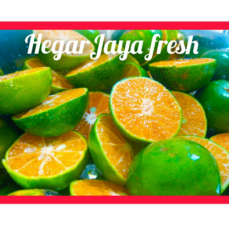 Jual jeruk peras 1kg | Shopee Indonesia