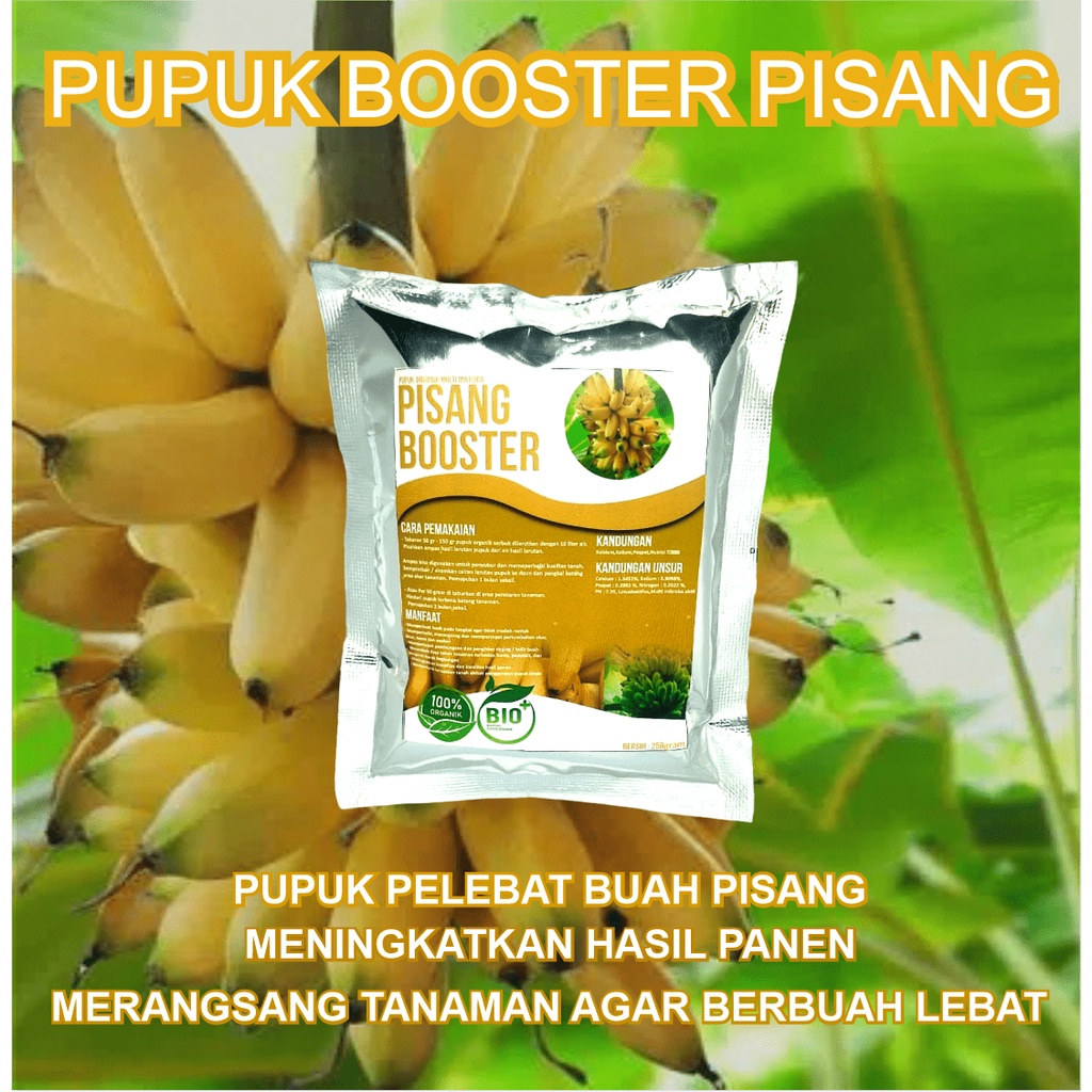 Jual pupuk penyubuir pohon pisang pupuk pembesar buah pisang pupuk pelebat buah pisang pupuk ...