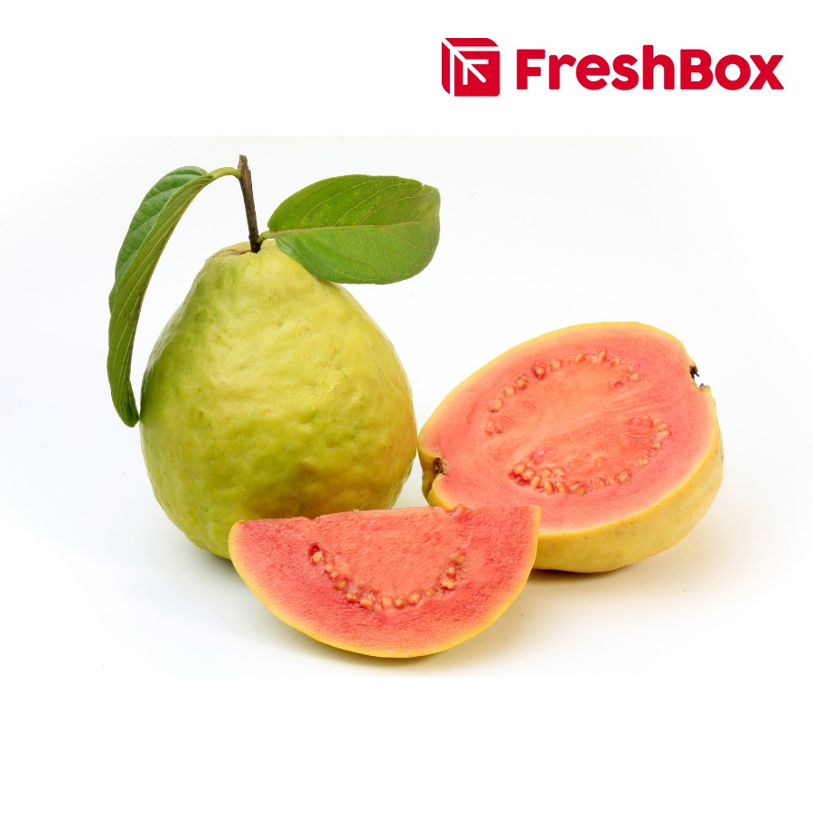 Jual Jambu Biji Merah Red Guava 500gr FreshBox | Shopee Indonesia