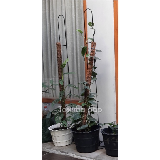 Jual STANDING RAK BESI RAMBAT/RAK TANAMAN RAMBAT/RAK BUNGA RAMBAT ...