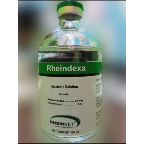 Jual Rheindexa 100 ml Inj Injeksi Anti Radang Inflamasi Alergi | Shopee ...
