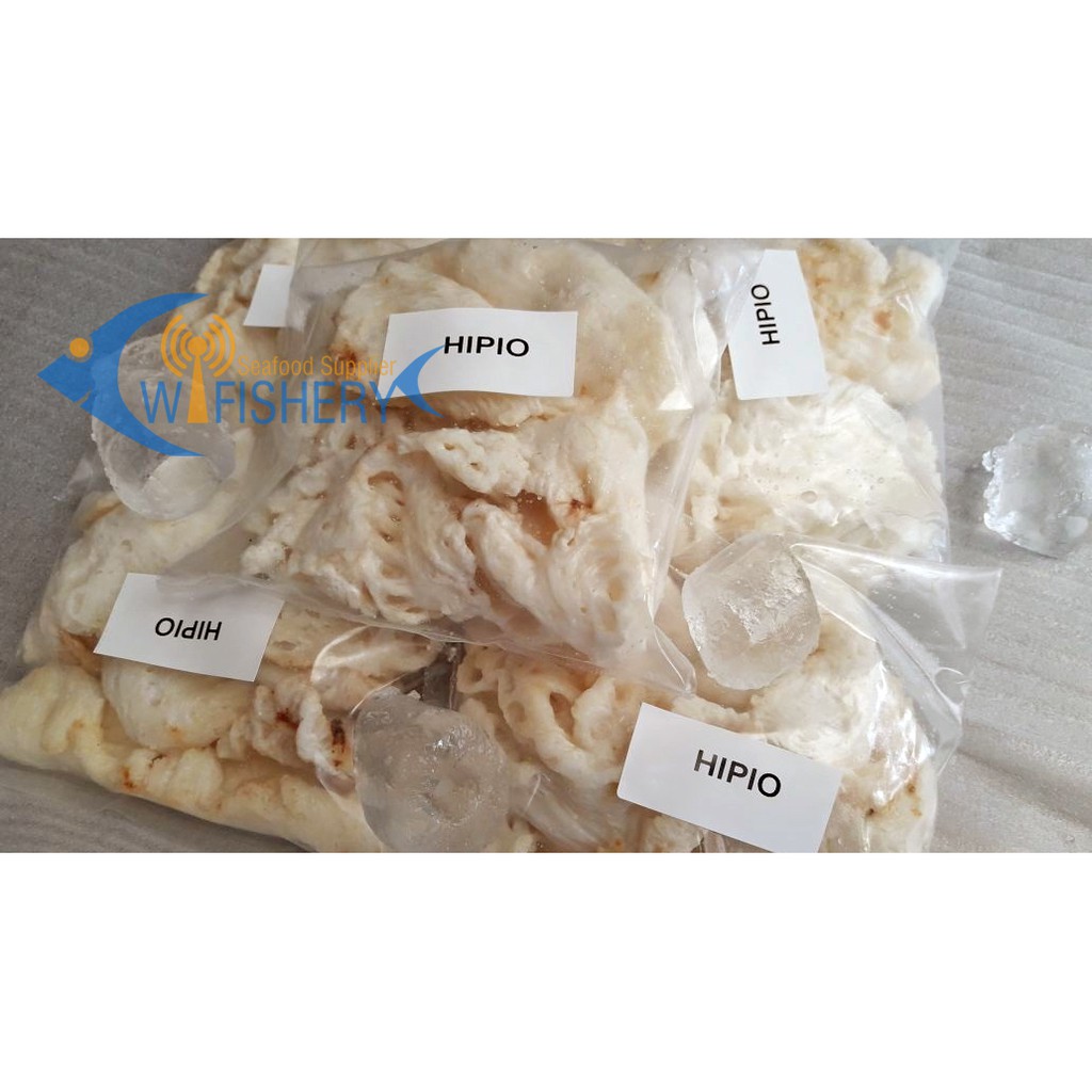 Jual Hipio - Gelembung Renang Ikan Beku | Shopee Indonesia