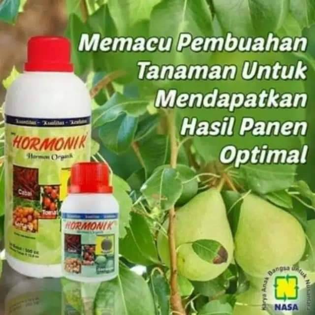 Jual PROMO BESARRRR BESARRRAN !!! PUPUK HARMONIK ( PERANGSANG PERTUMBUHAN TANAMAN ) | Shopee ...