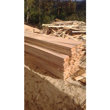 Jual papan cor 2x20 | Shopee Indonesia