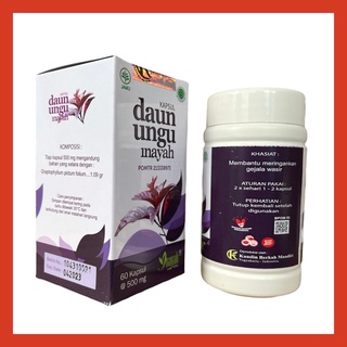 Jual Kapsul Daun Ungu Obat Wasir Ambeien BPOM | Shopee Indonesia