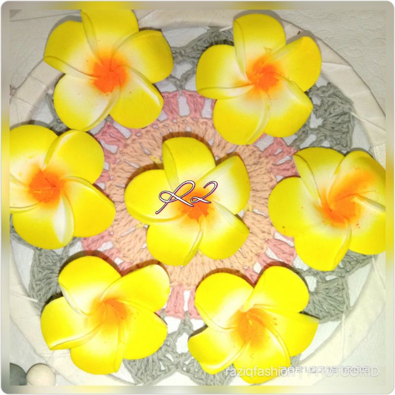 Jual 1LUSIN Bunga Bali/ Bunga Kamboja/ Bahan Kerajinan | Shopee Indonesia