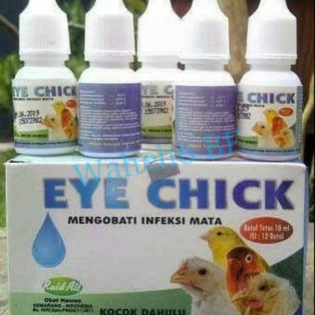 Jual Eye Chick Obat Tetes Mata Unggas | Shopee Indonesia
