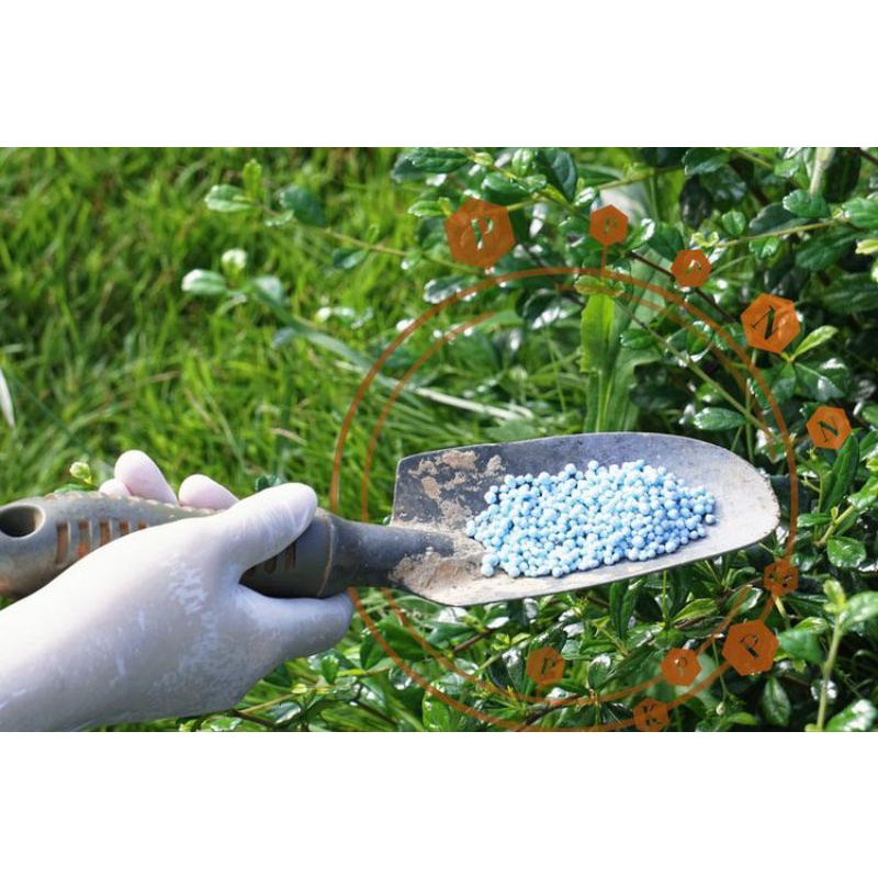 Jual 200 gram NPK Mutiara/ pupuk Mutiara Biru/ Pupuk Tanaman | Shopee ...