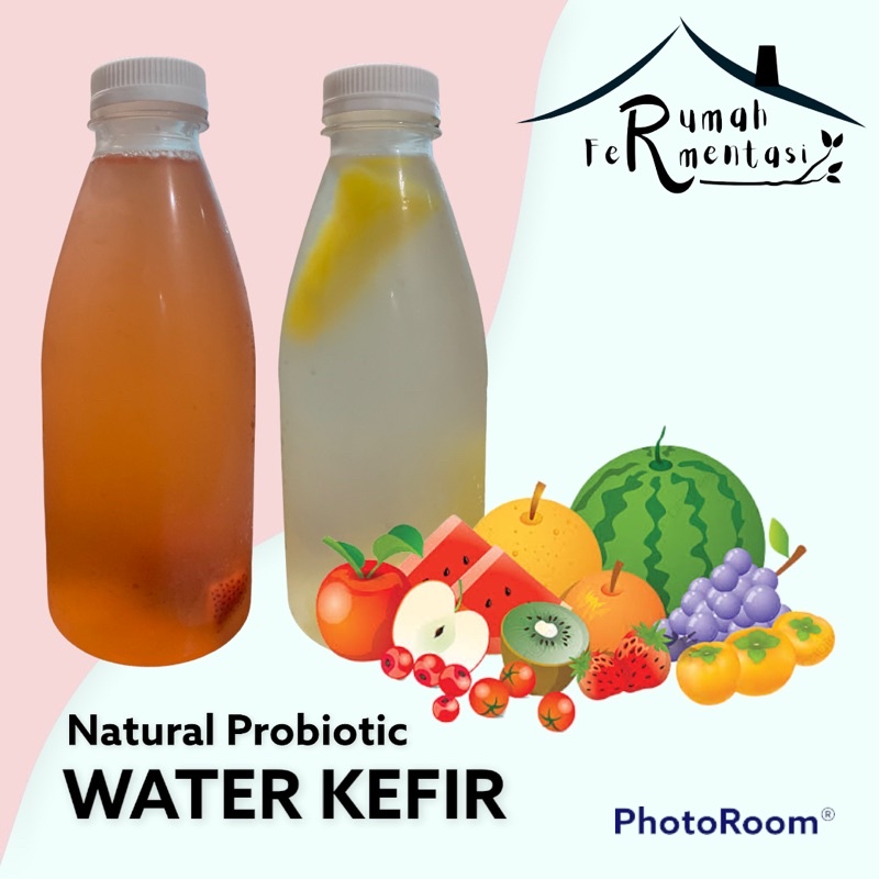 Jual WATER KEFIR RASA BUAH | Shopee Indonesia