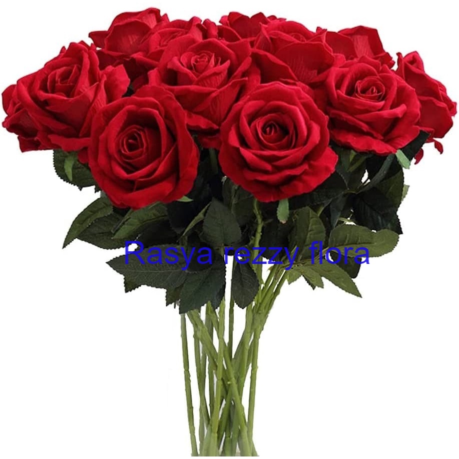 Jual Bunga Mawar bunga hidup varian warna | Shopee Indonesia